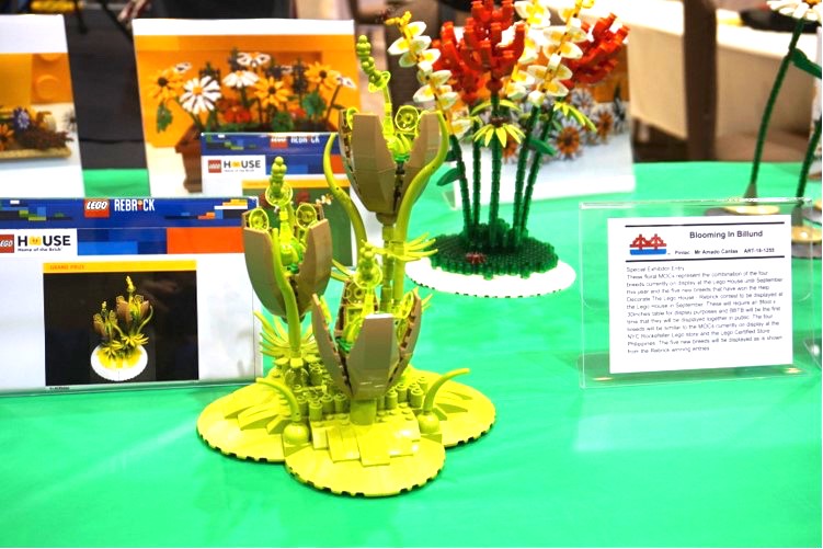 Filipino engineer builds award-winning LEGO flowers | Inquirer