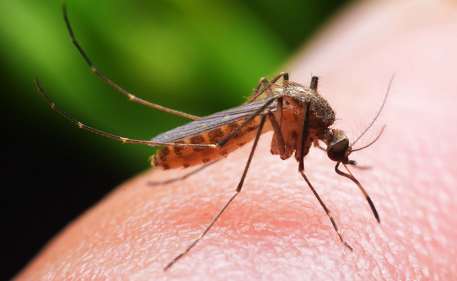 Benefits of Drinking Apple Cider Vinegar