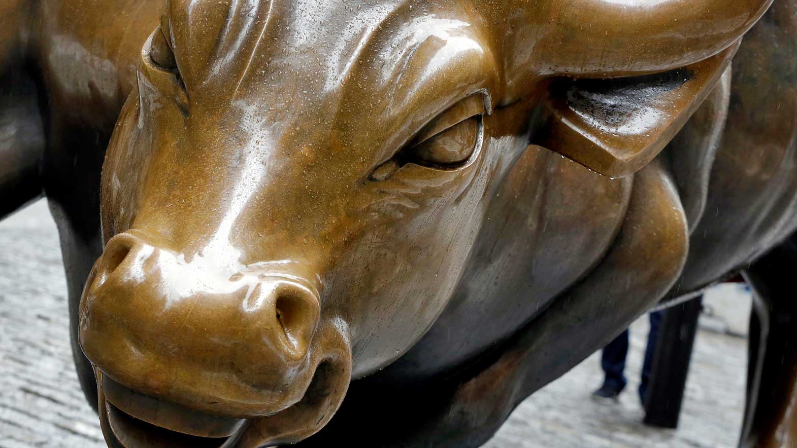 Run, Bull, Run. Longest Bull Market Looks to Keep Going