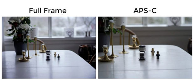 Full Frame vs APS C: Do You Really Need a Full Frame Camera?