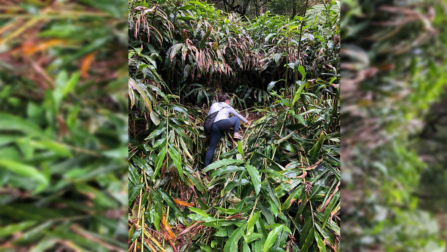 How Tech Is Making It Easier to Find Missing People in the Wilderness