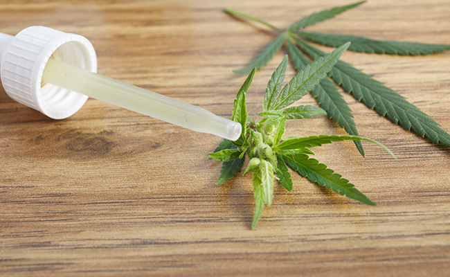 CBD Drug Interactions You Need to Know | CBD Users Need to Read This