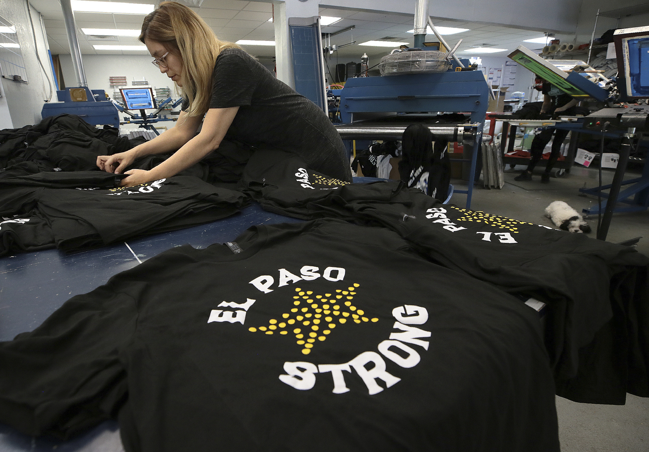 Strong Campaign with Every New Tragedy | Used For Political Advantage