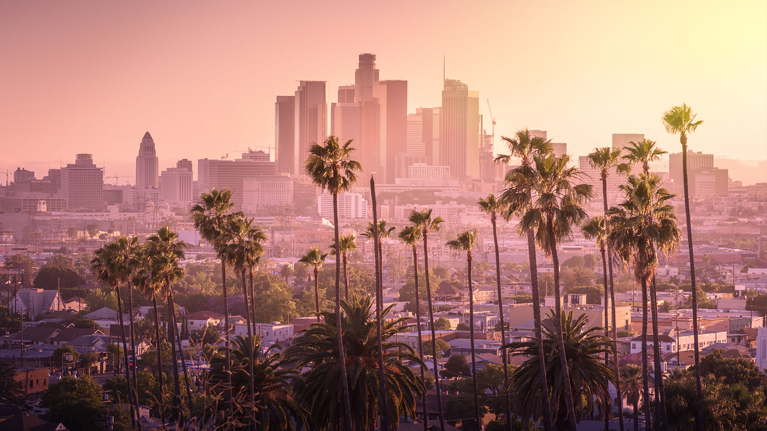 Fun Things to Do in Los Angeles | Hollywood and Santa Monica