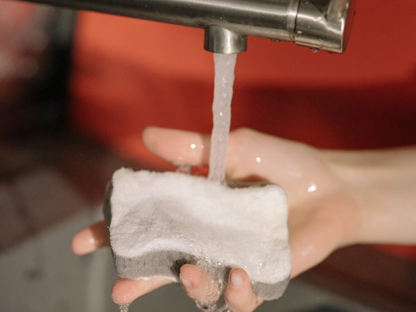 How to get rid of mildew in your home | The Complete Guide for Beginners