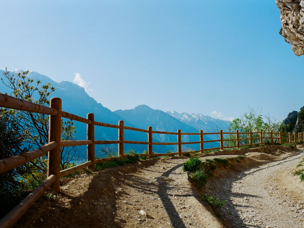 Ten Privacy Fence Ideas For Better Home Security - Fence Matters