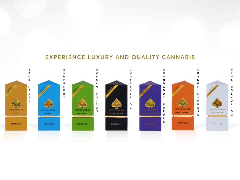 Best Weed Vape Cartridges of 2021 - Our Top Picks