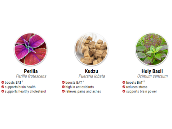 Exipure - Health Benefits, Dosage, Side Effects, Reviews