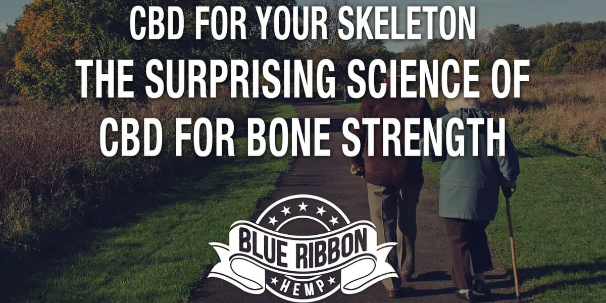 CBD For Your Skeleton | Surprising Science of CBD For Bone Strength