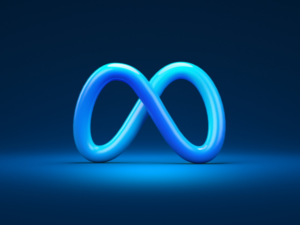 An Overview of Meta - What it is, How it Works, What the Future Looks