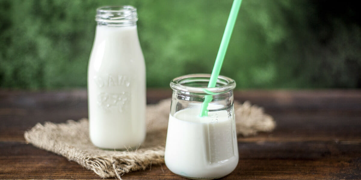 Goat Milk: Fully Explained, Benefits and Facts I Lifestyle