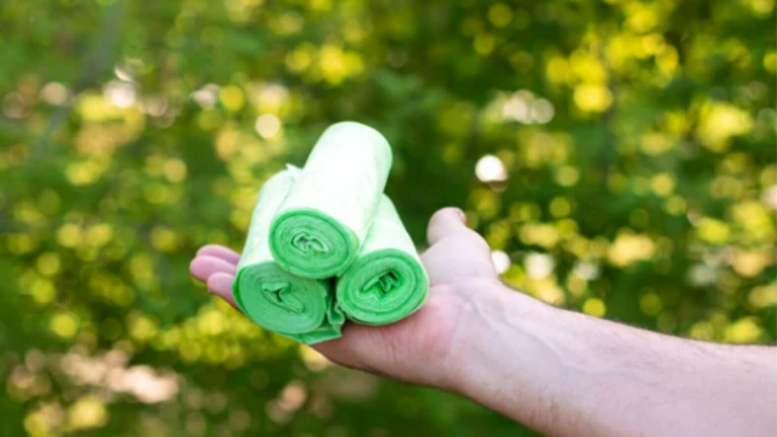 Best Biodegradable and Compostable Garbage Bags I Lifestyle