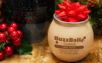 Best BuzzBallz Flavors on the Market I Lifestyle