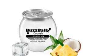 Best BuzzBallz Flavors on the Market I Lifestyle