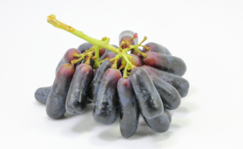 Moon Drop Grapes: Everything You Need to Know | Inquirer