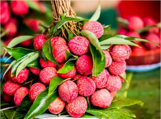How to Pronounce Lychee the Right Way | Inquirer