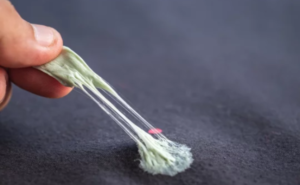 Does Gum Expire? What You Should Know I Lifestyle