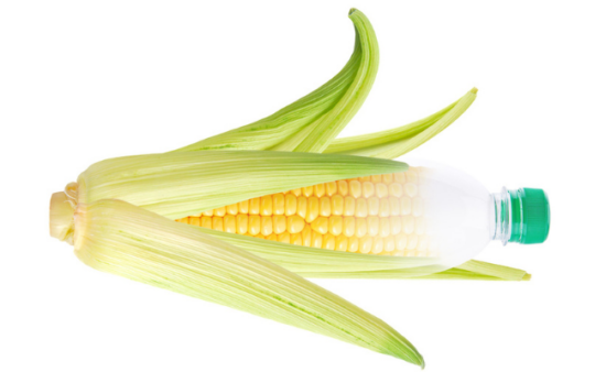 Everything You Need to Know About Corn-Based Plastic PLA