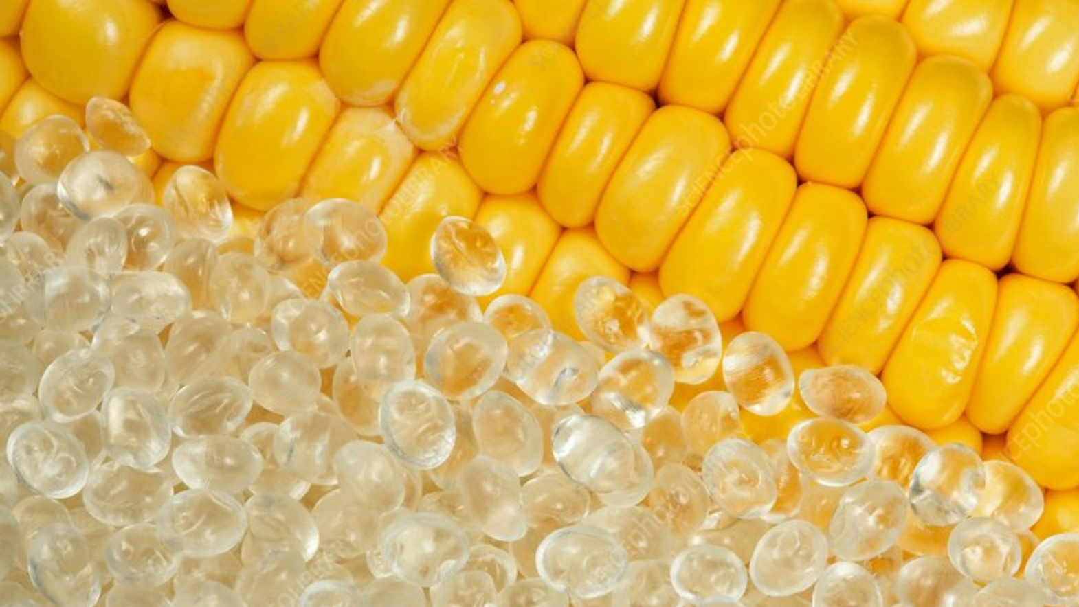 Everything You Need to Know About Corn-Based Plastic PLA
