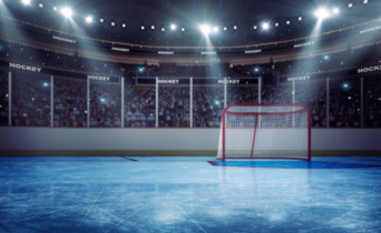 All You Need to Know About Arena Sports All You Need to Know About ...