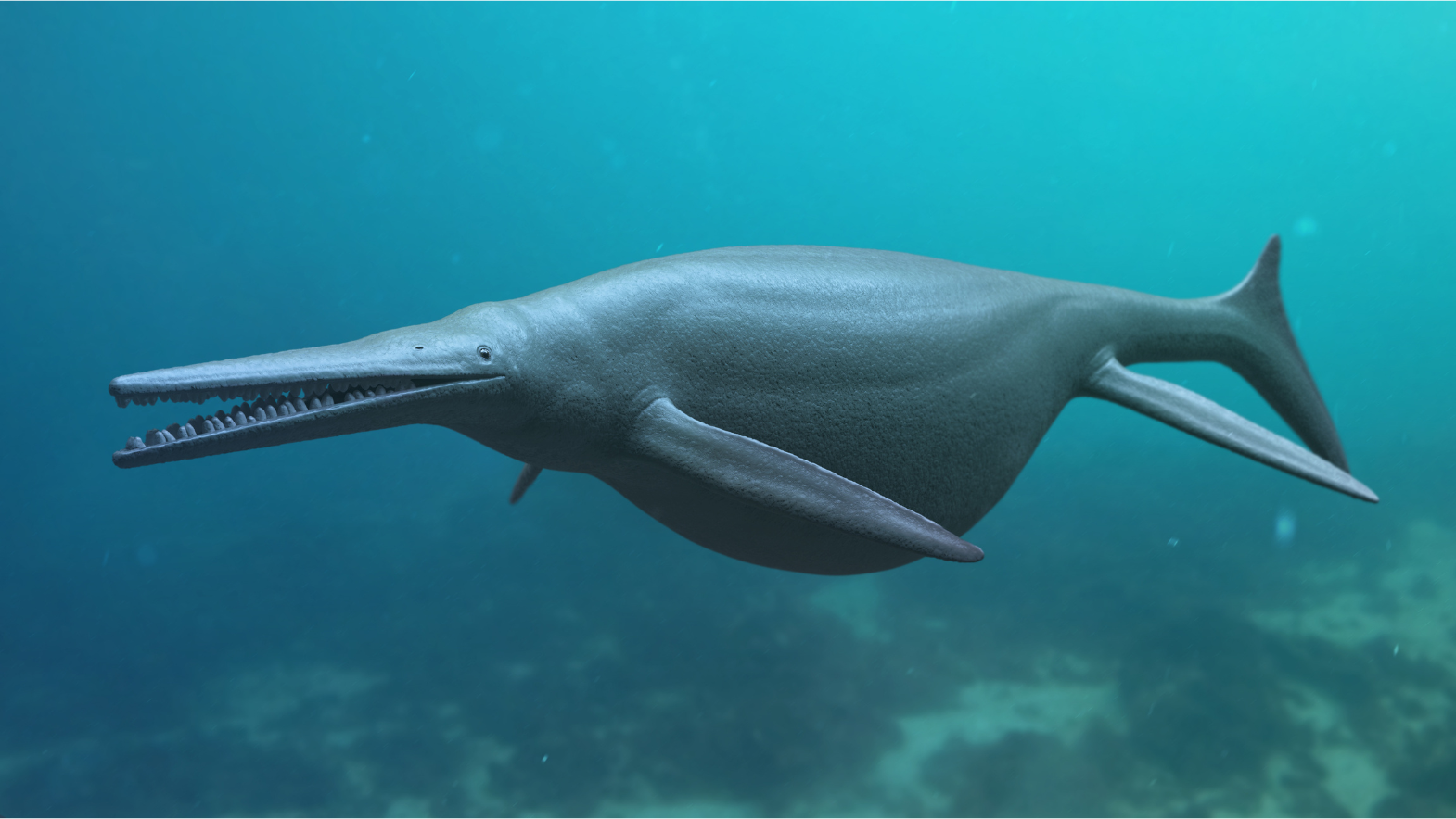 Oldest Ichthyosaur in History Discovered on Remote Arctic Island Oldest ...