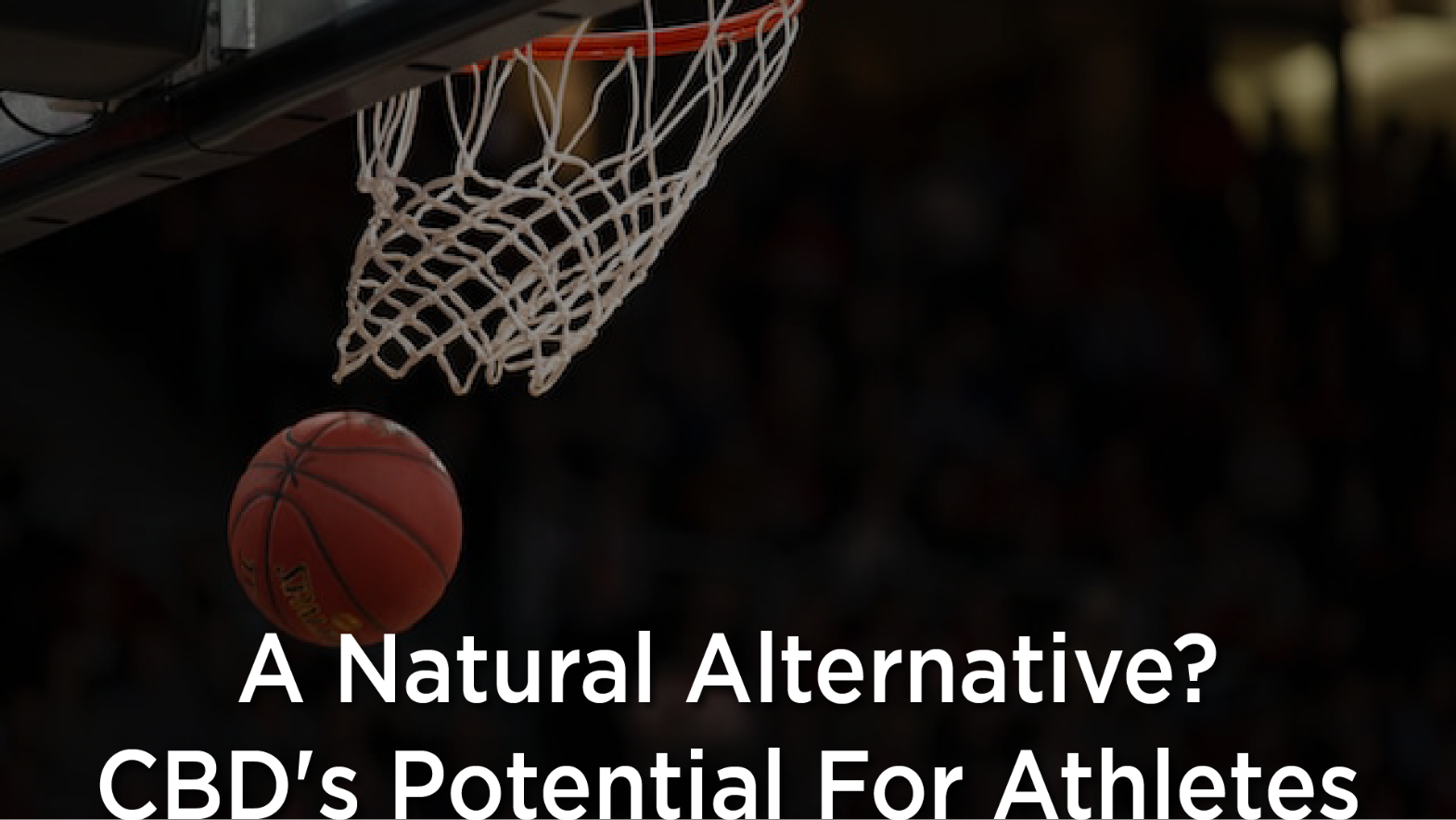 A Natural Alternative? CBD's Potential for Athletes I Blogs A Natural ...