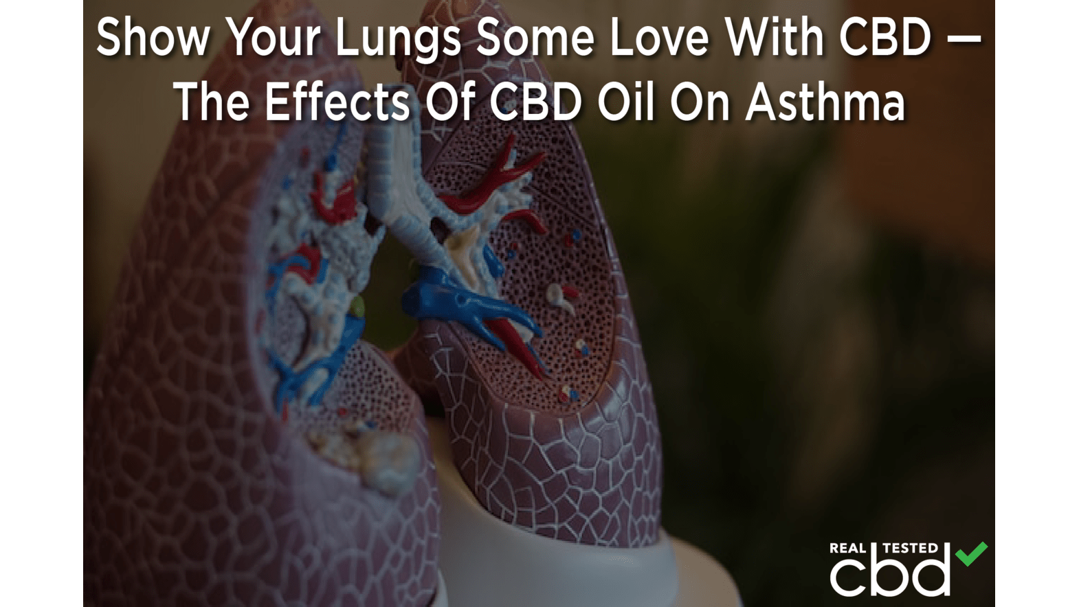 Show Your Lungs Some Love With CBD - The Effects Of CBD Oil On Asthma | Inquirer