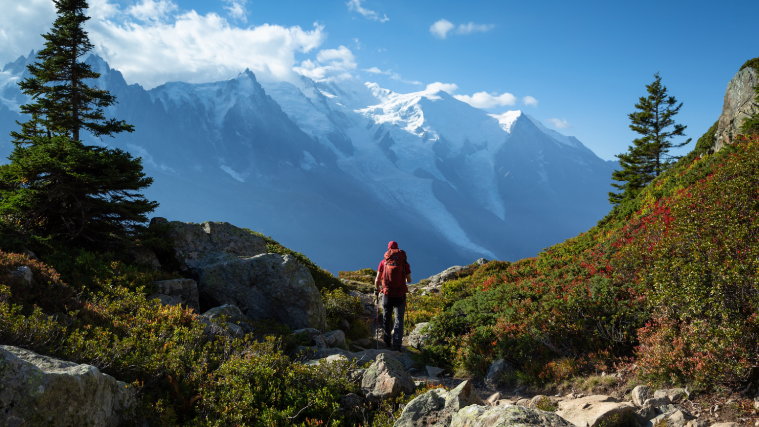 Best hikes in California to elevate your vibes this year