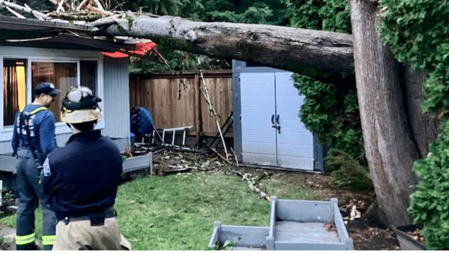 'Bomb cyclone' knocks out power and trees across northwest US