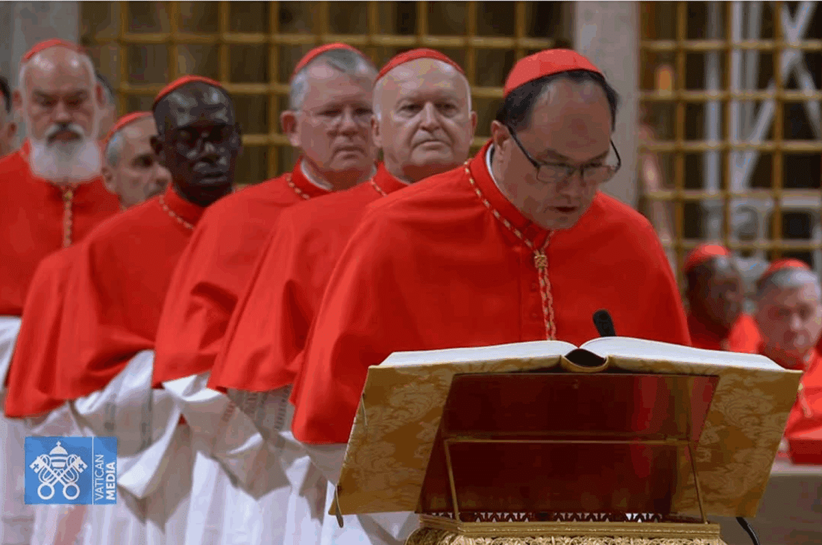 Cardinal David shares rare glimpse into the papal conclave