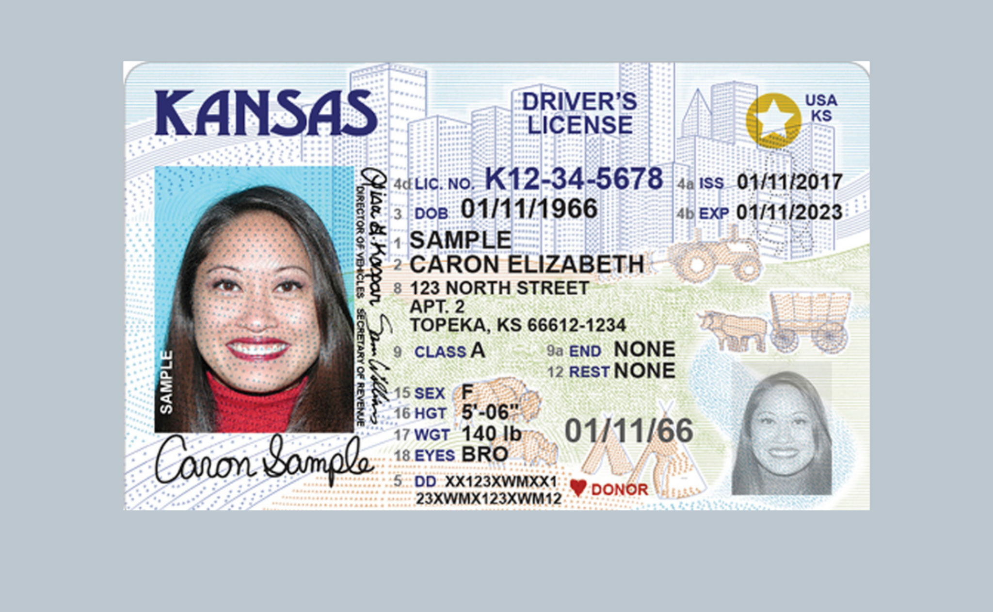 Don’t have a REAL ID yet? That could cause you travel headaches after ...