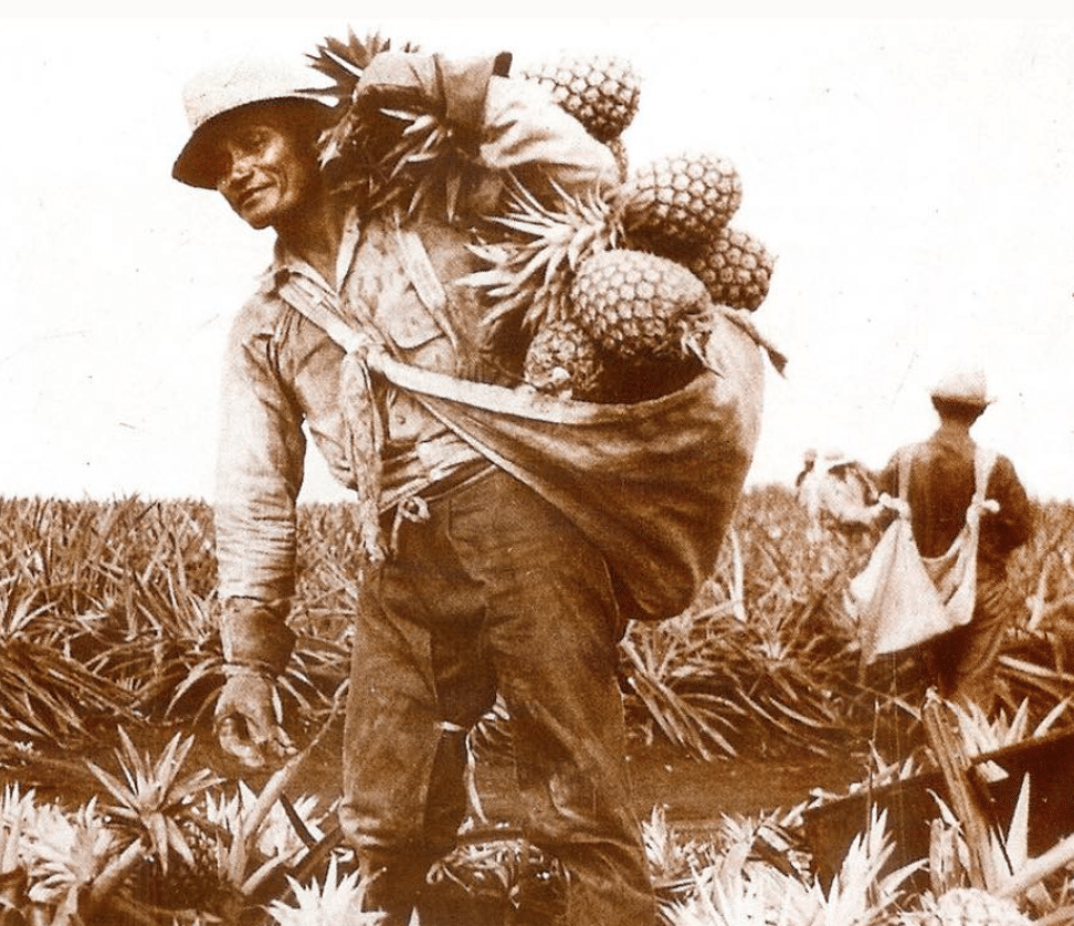 Sakada Day Celebrations in Hawaii honor Filipino migrants