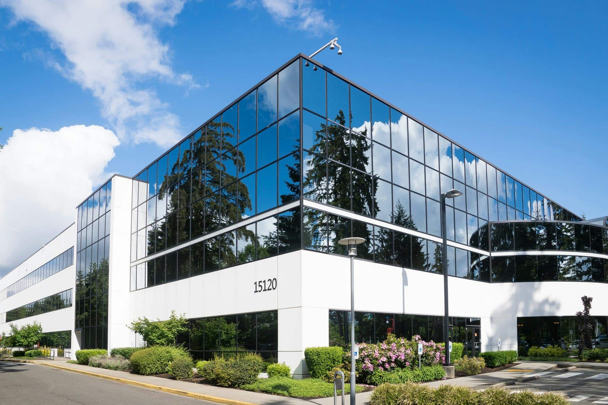 The architecture of potential: How leading companies design ...