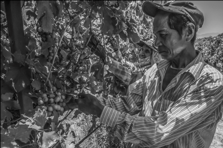 Fil-Am labor icon Larry Itliong and the Great Delano Grape Strike